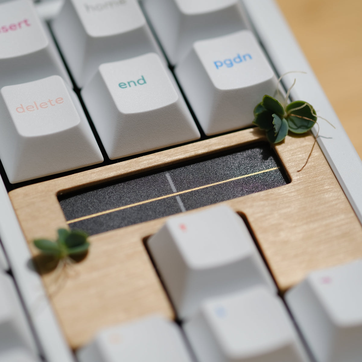 Soleil - A Beautiful Solar Powered Wireless TKL – CannonKeys