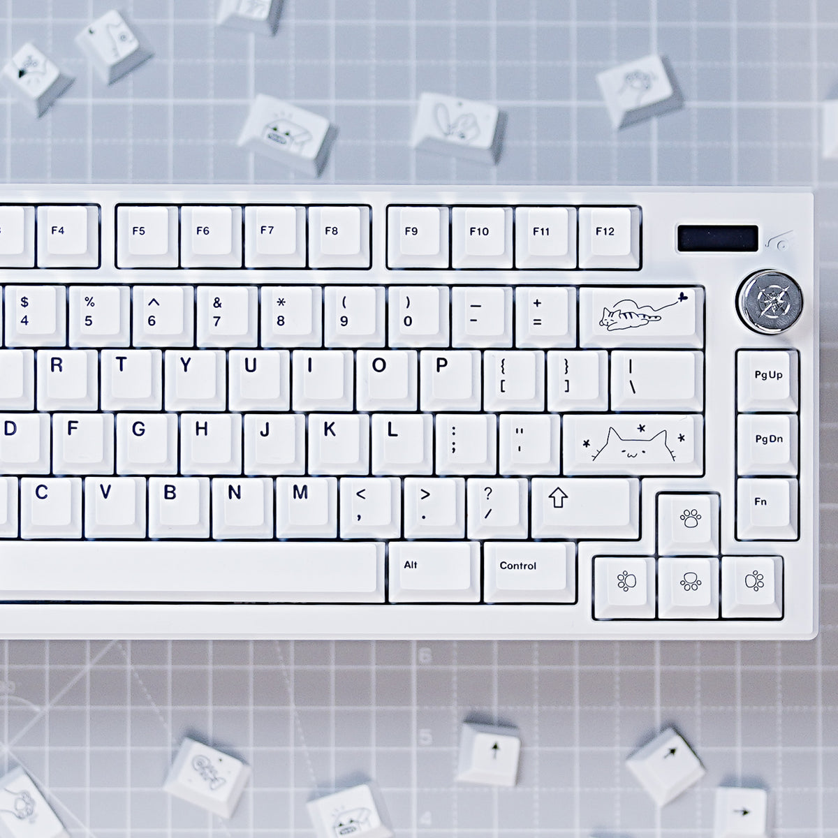 NicePBT Cat – CannonKeys