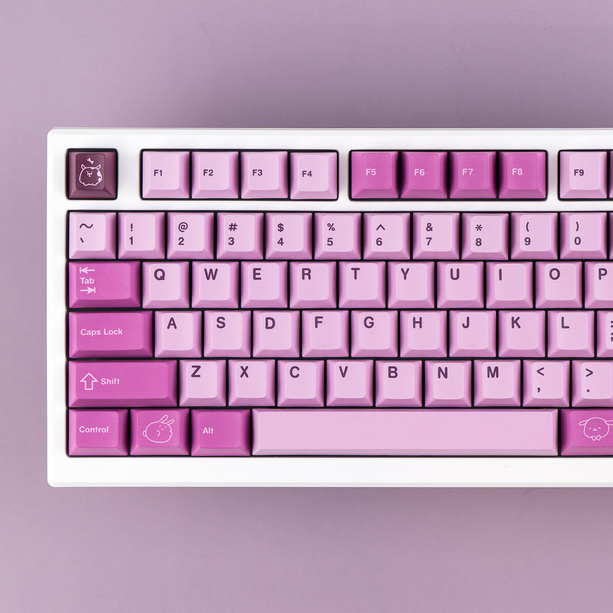 NicePBT Purple Chonkers – CannonKeys