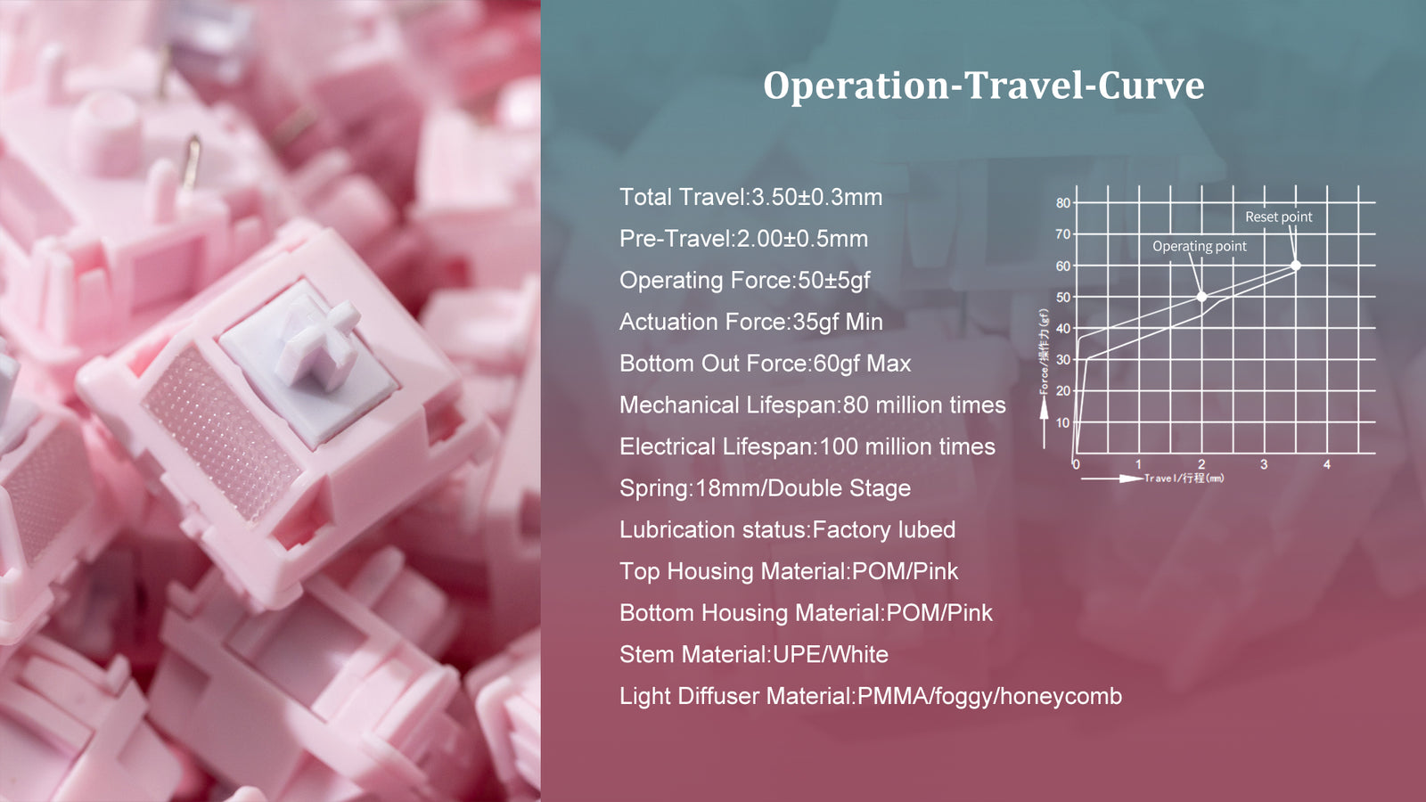 Chilkey Paw65 Barebone Edition – CannonKeys