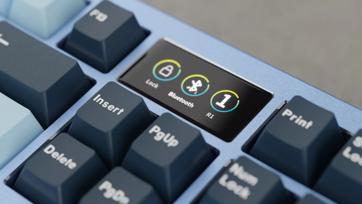 Zoom98 Modules – CannonKeys