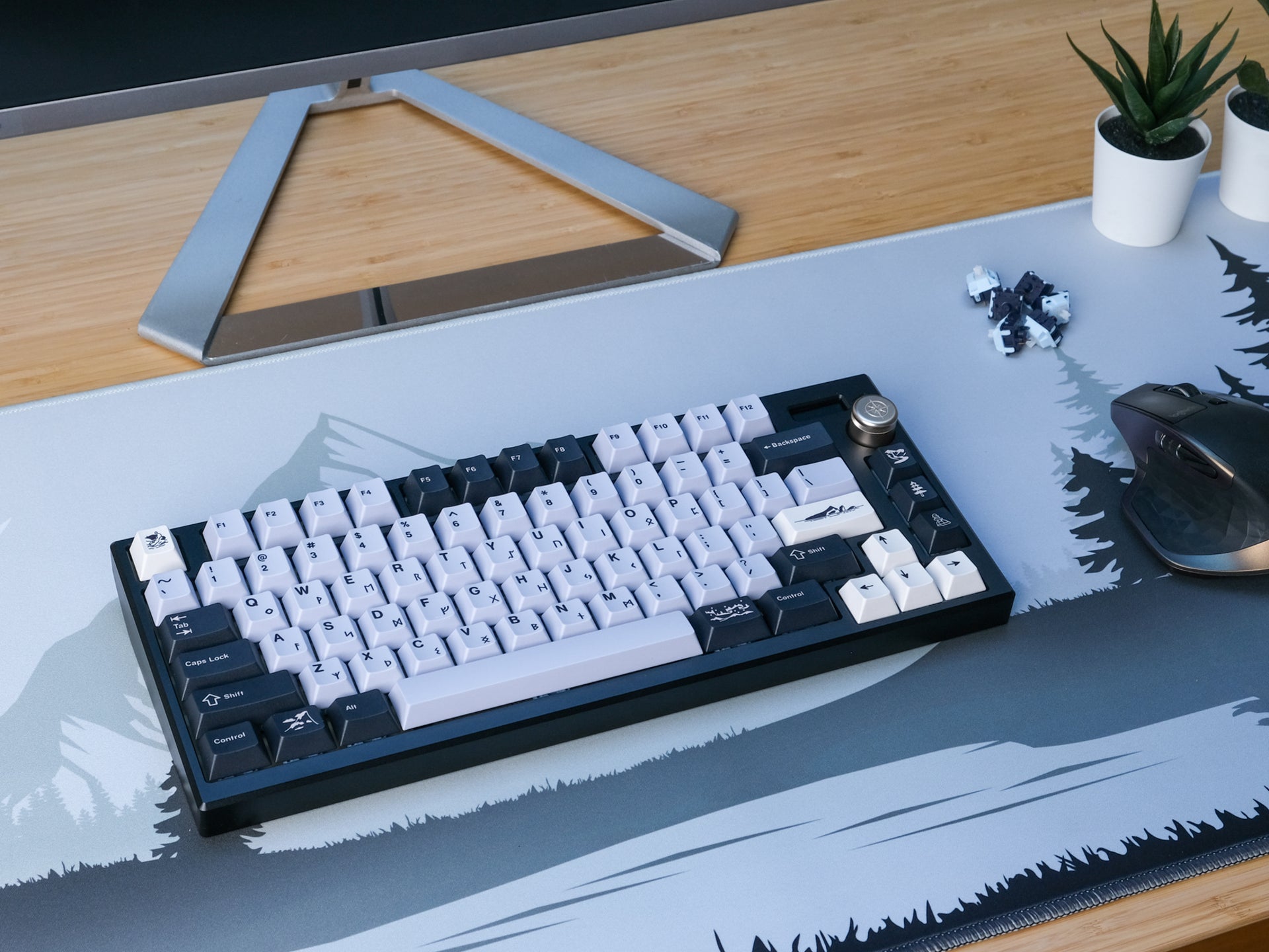 NicePBT Deep North – CannonKeys