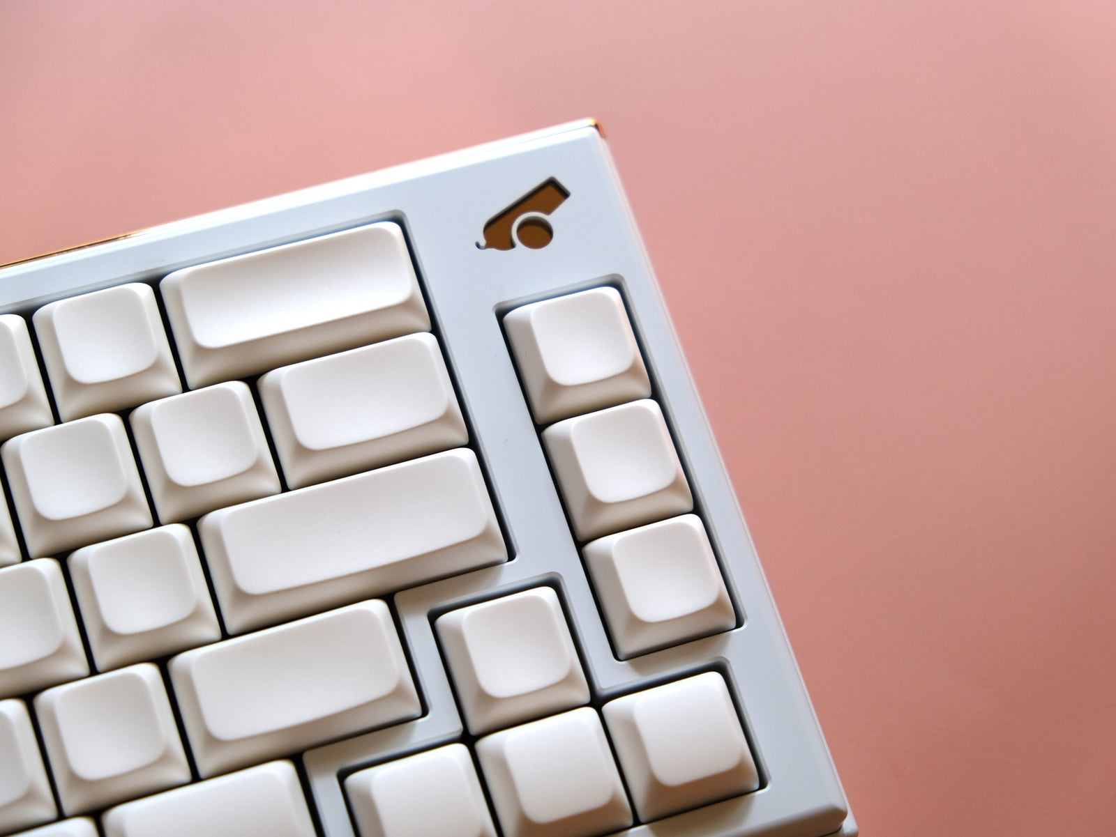 PBS Black on Black – CannonKeys