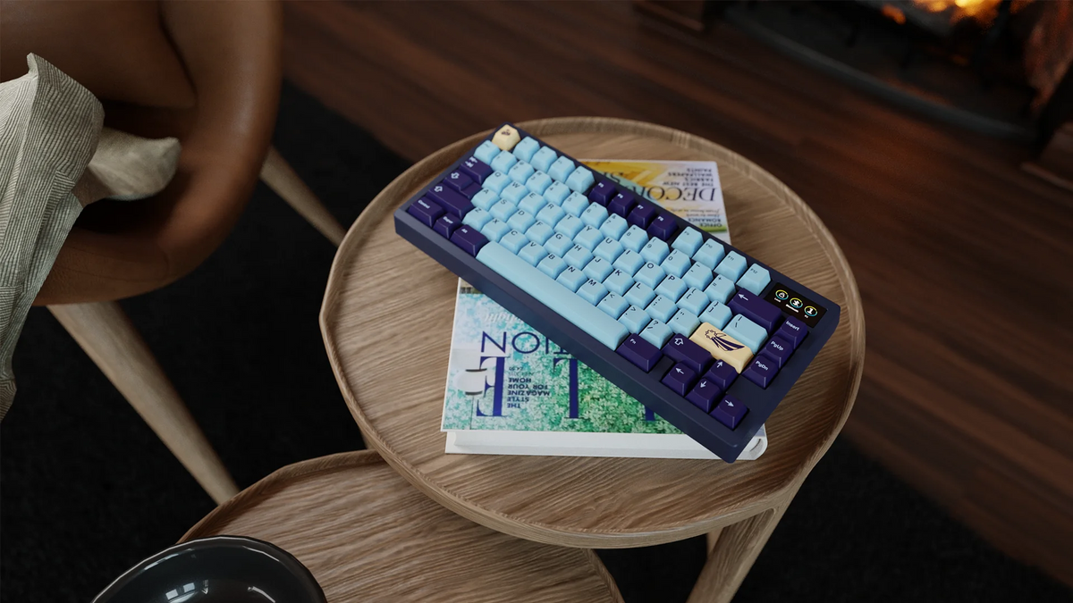 WS Stellar – CannonKeys