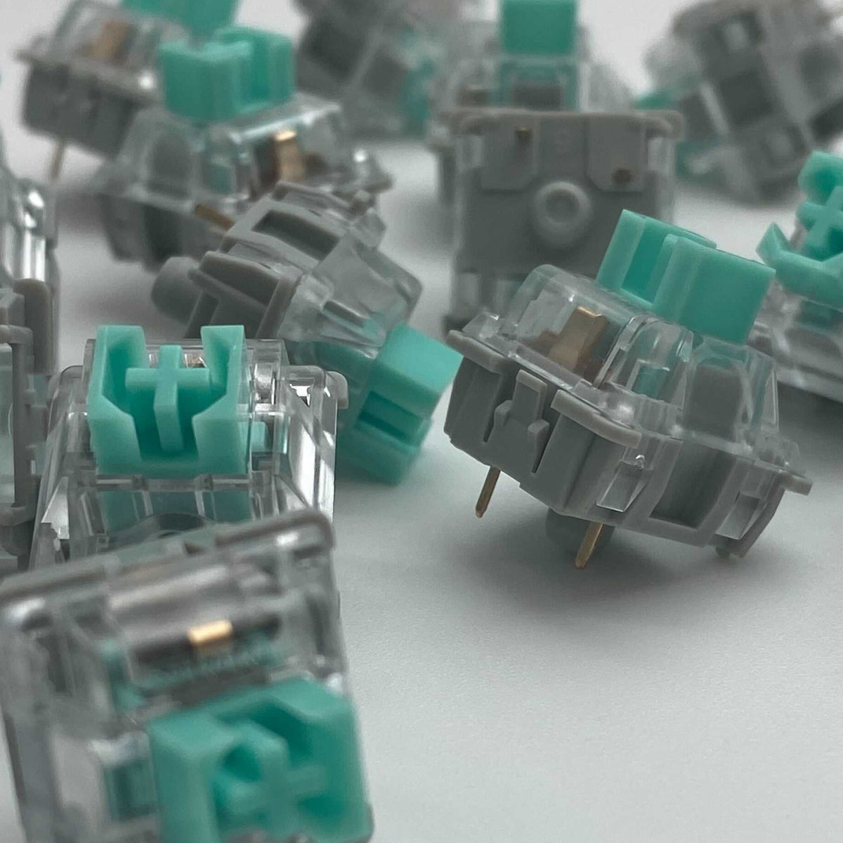 MOMOKA Frog Linear Switch – CannonKeys
